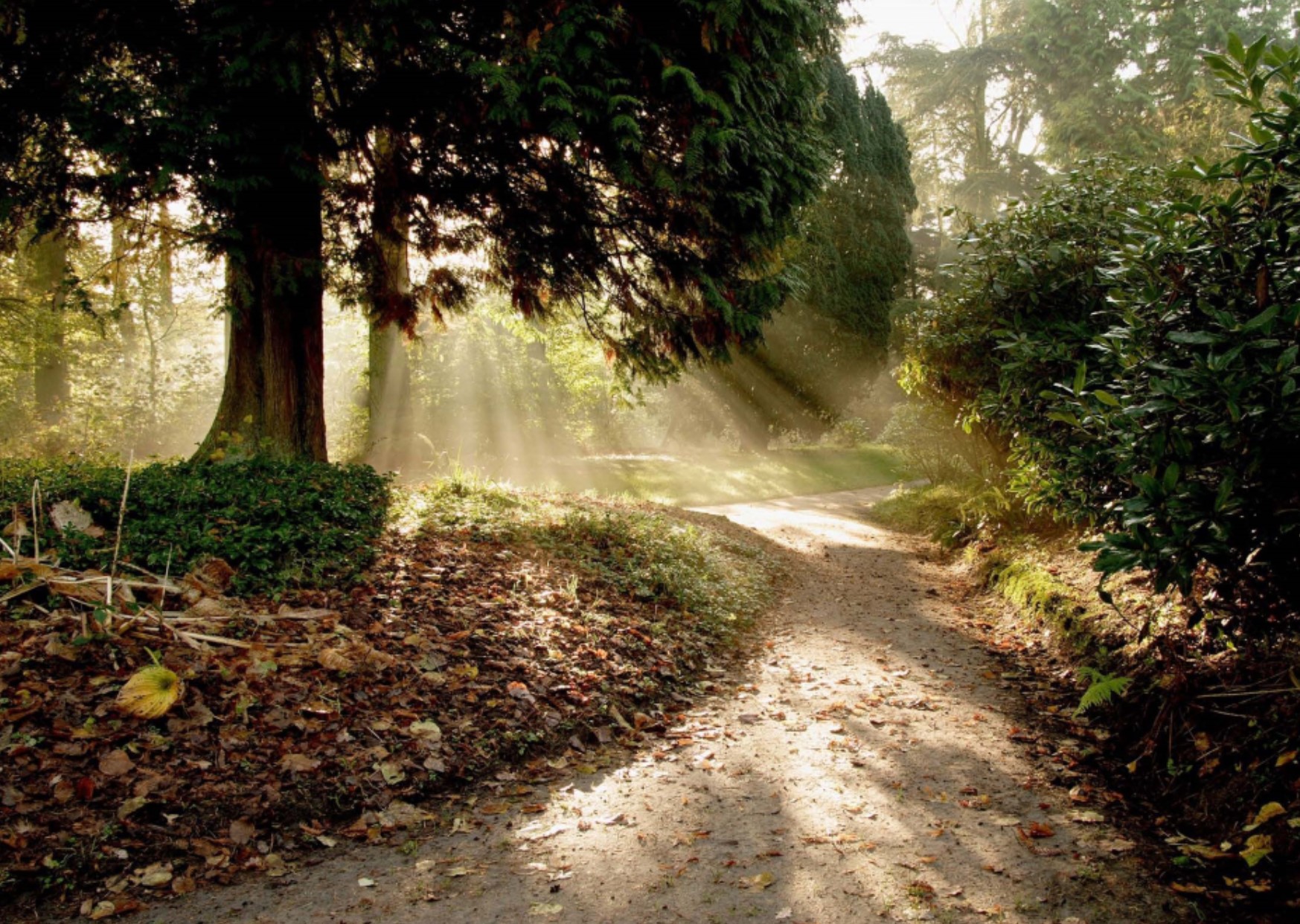 jim rossi class pic cropped - Northpark